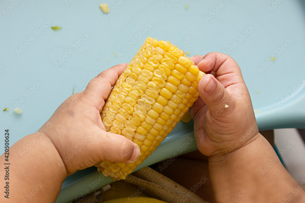 Little Baby Boy holding a corn and eating it, BLW Eating, Healthy ...