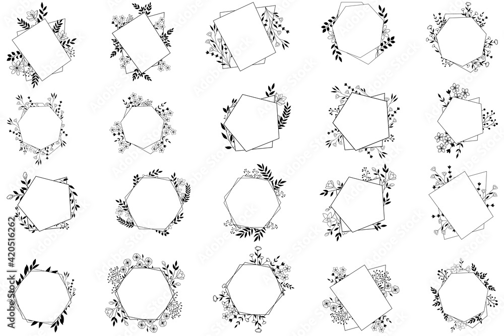 Floral Hexagon Frame Botanical Vector Set Illustration Stock Vector ...