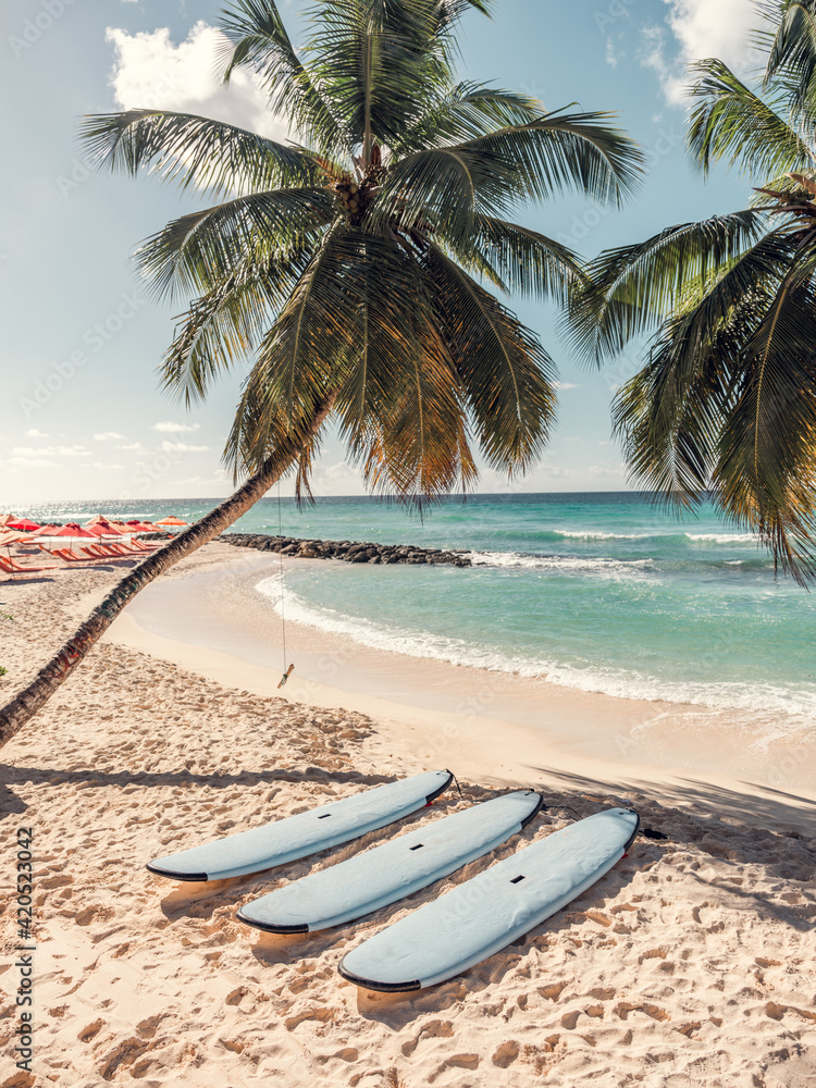Surfboards on a beach in Barbados, Caribbean Stock Photo | Adobe Stock