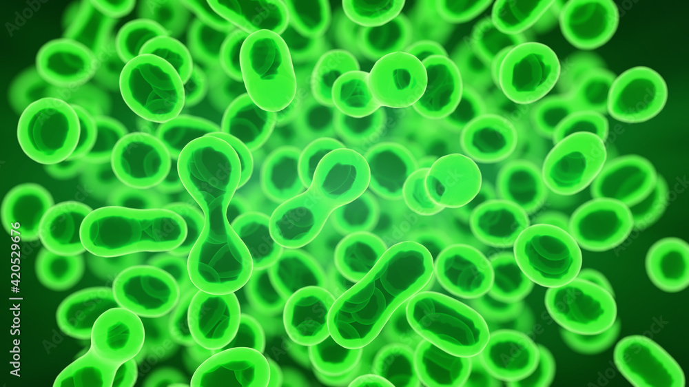 Cellular Division Under Microscope. Mitosis, The Process Of Cell ...