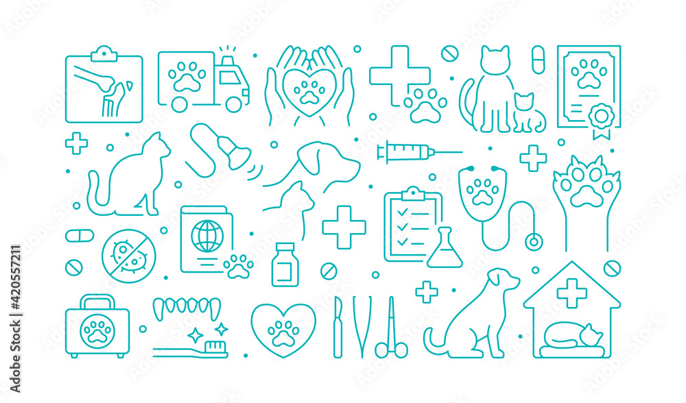 Veterinary clinic green color poster with line icons. Vector ...