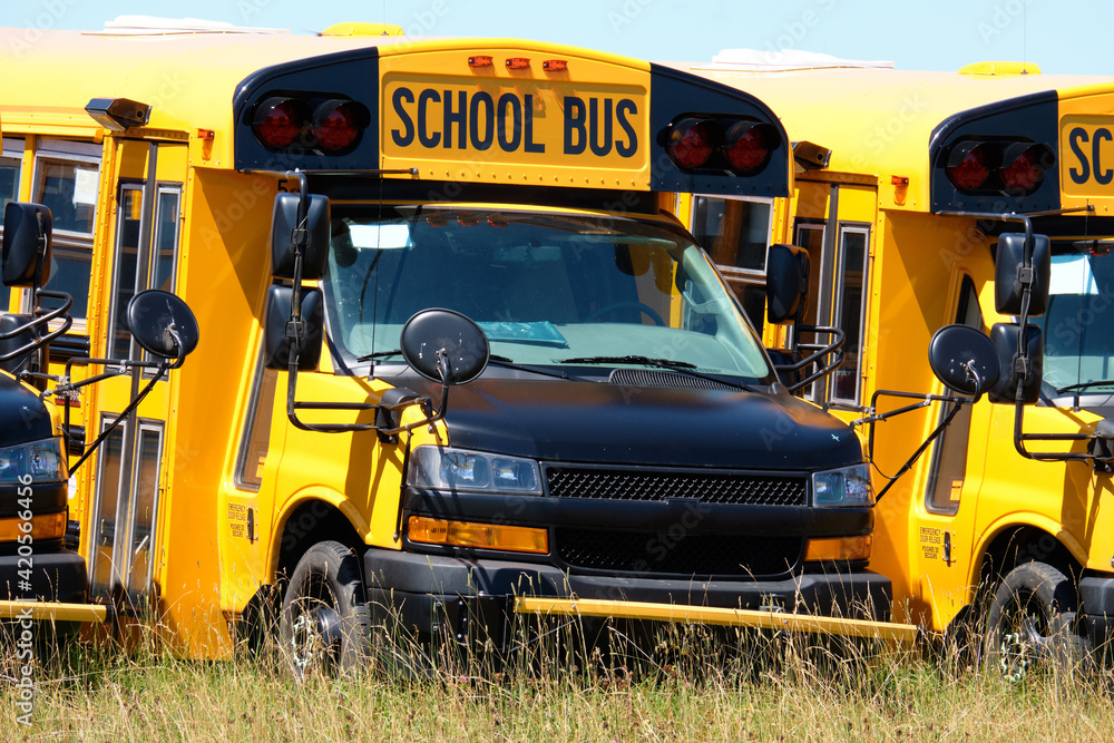 School Buses in Row Stock Photo | Adobe Stock