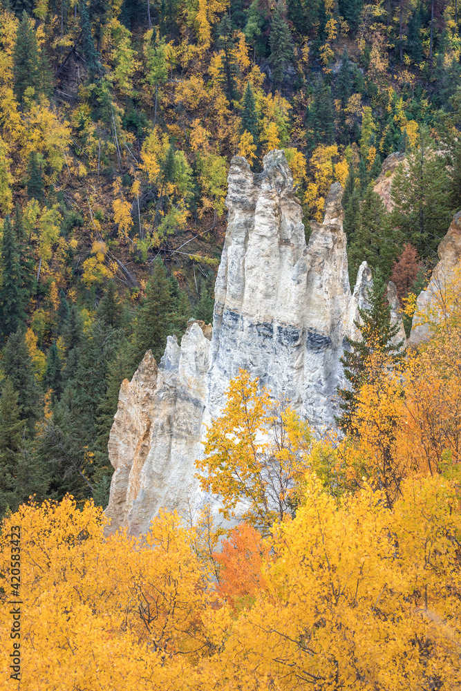 Pinnacles Provincial Park Stock Photo | Adobe Stock