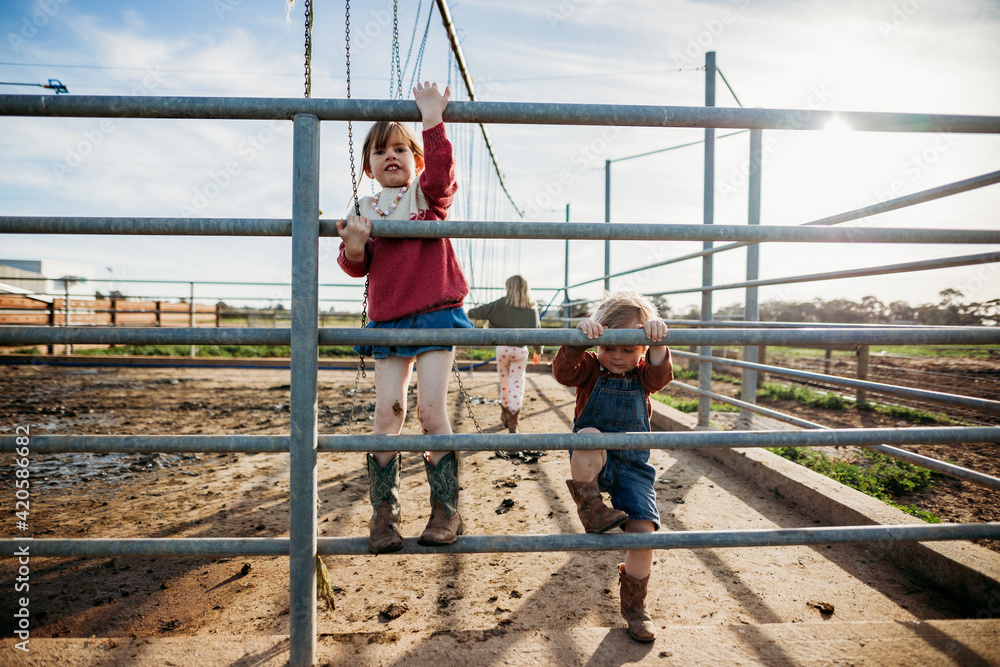 kids climbing a fence Stock Photo | Adobe Stock
