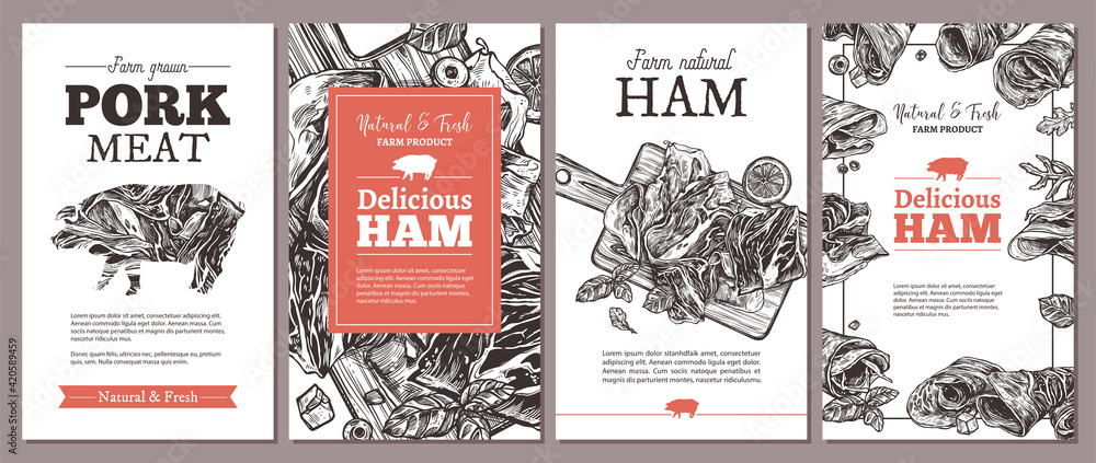 Design of cards, posters, labels or tags for meat farm natural products ...