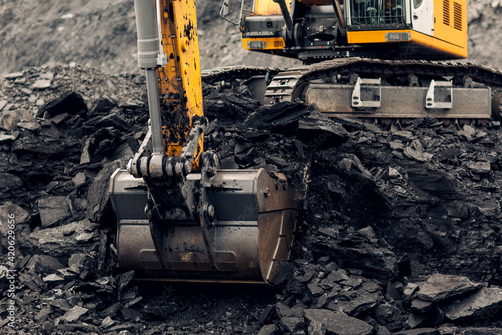Excavator loads coal into the back of a heavy mining dump truck. Open ...