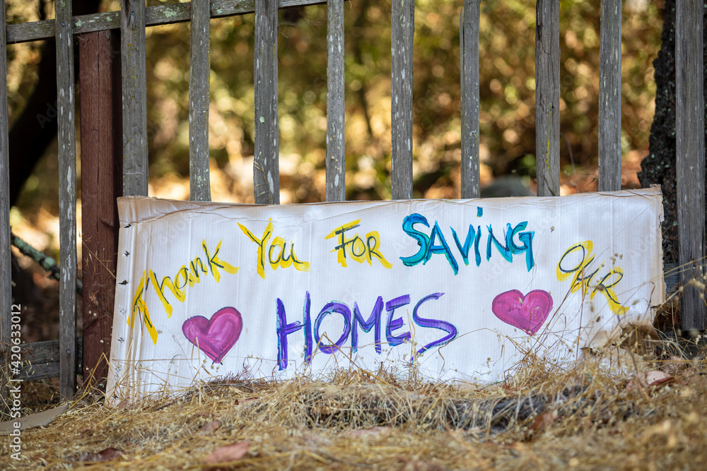 CZU Lightning fire devastation Stock Photo | Adobe Stock