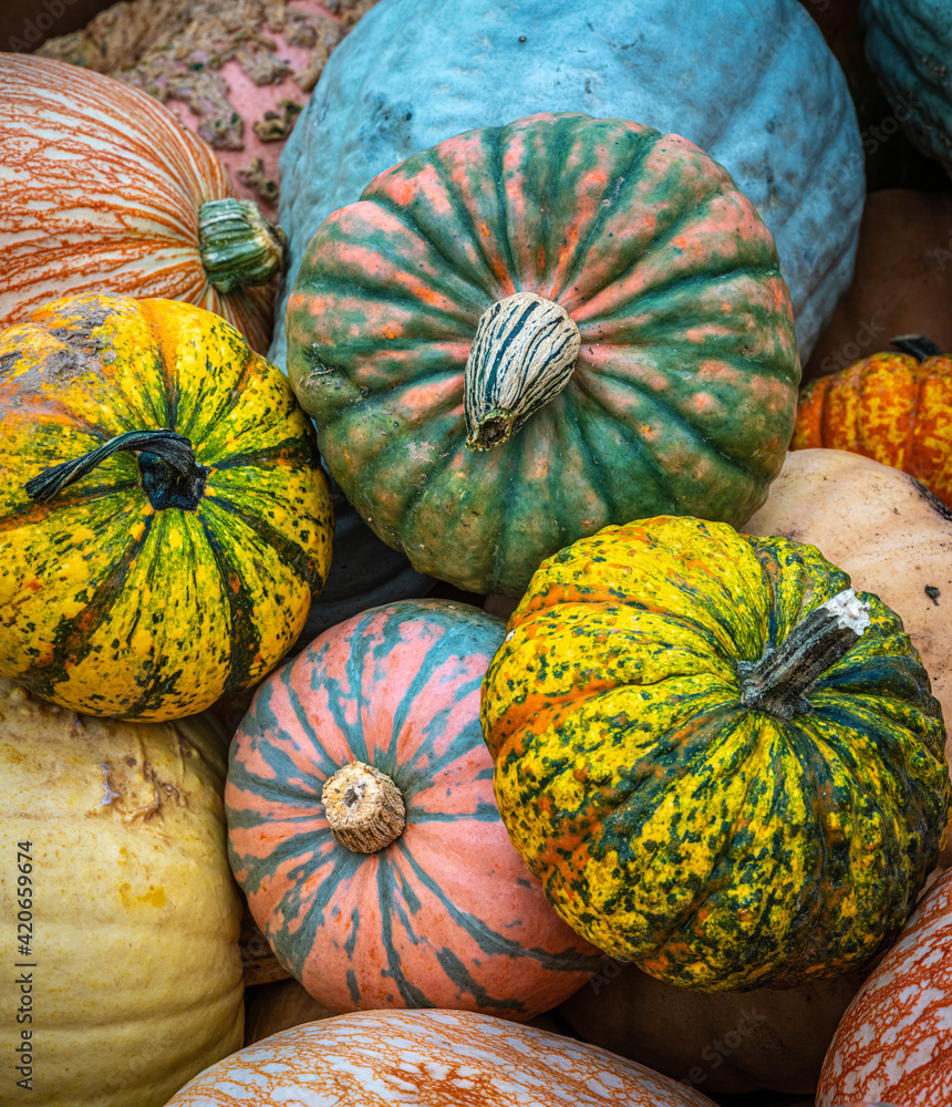 pumpkins Stock Photo | Adobe Stock