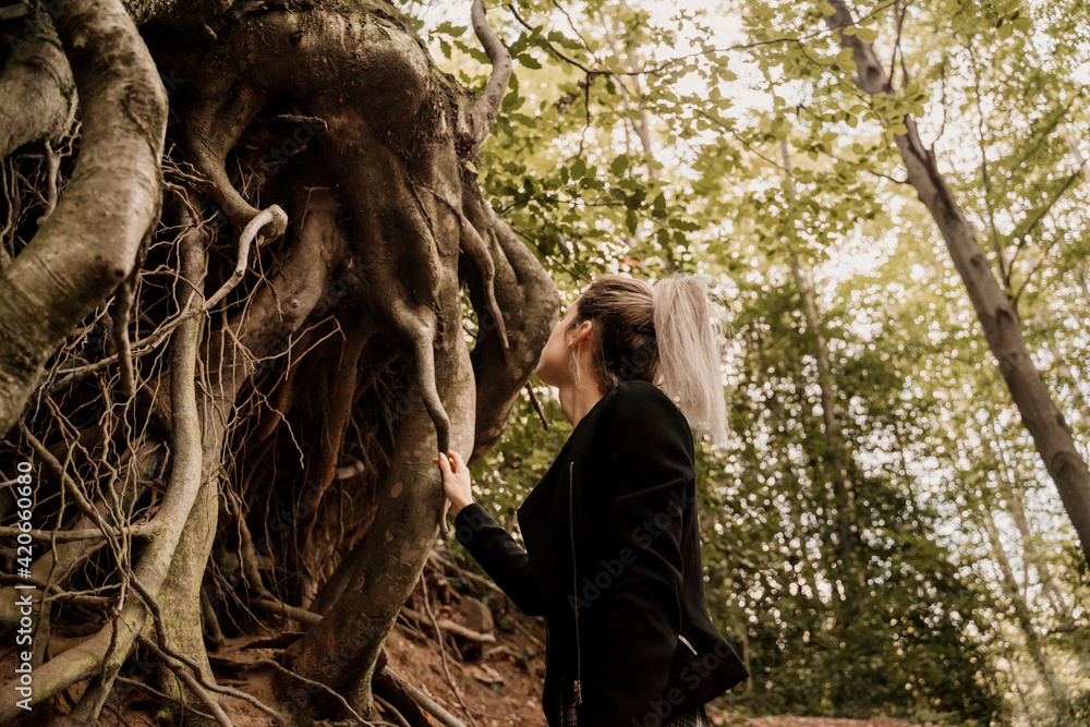 Young woman touching tree roots in forest during autumn Stock Photo ...