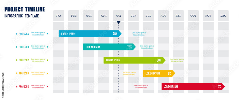 Project Timeline Infographics, 12 months timeframe and milestones with ...