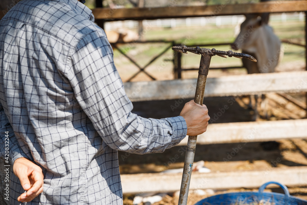 The farmer holding fork in his farm, agriculture and livestock concept ...