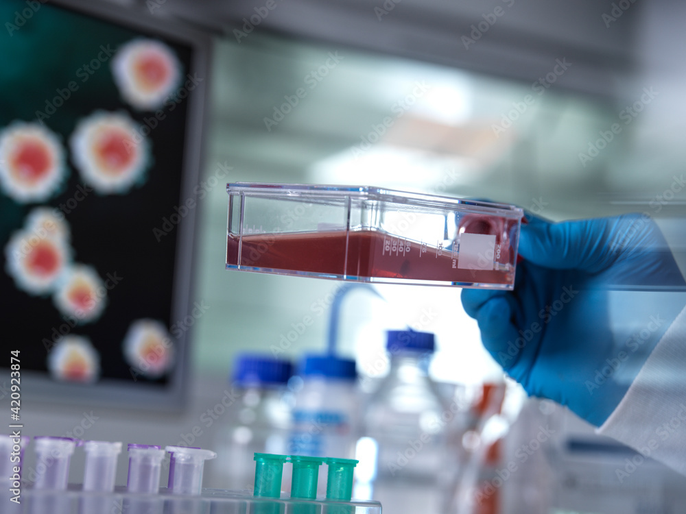 Cell Research, Scientist examining cells in a jar ready to view under a ...