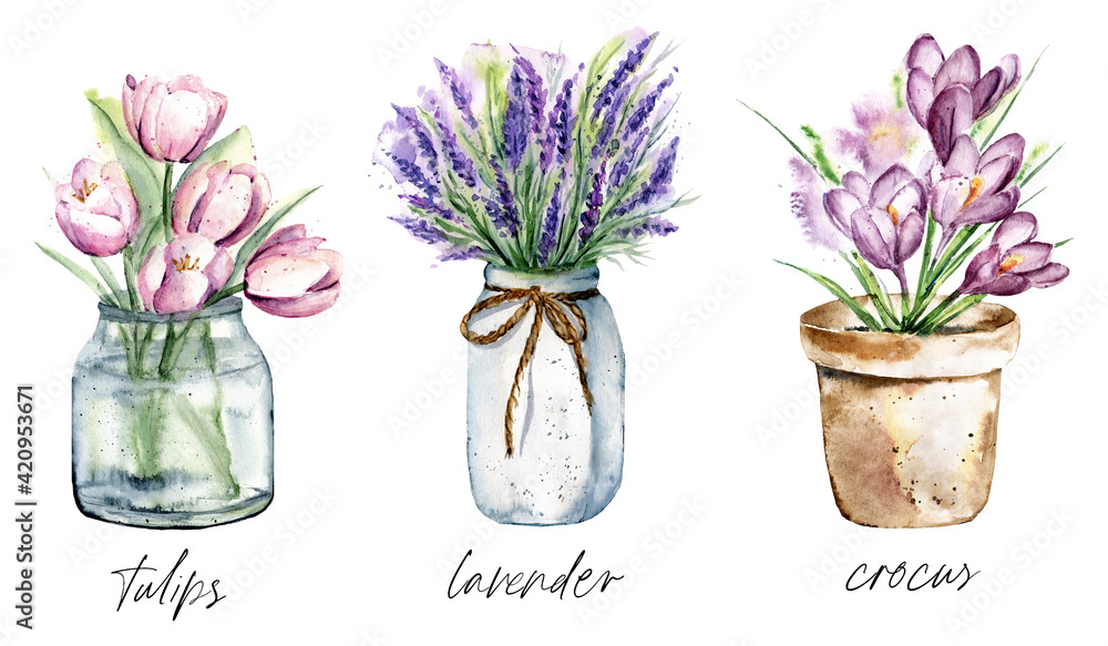 Spring flowers in pots, watercolor painting. Floral illustration ...