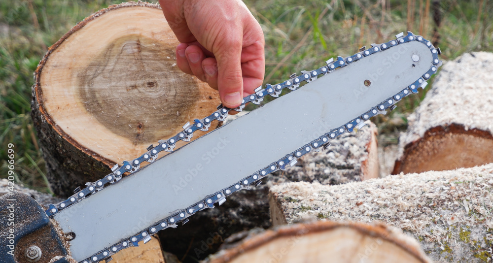 Checking and adjusting the chain tension of the chain saw. A worker ...