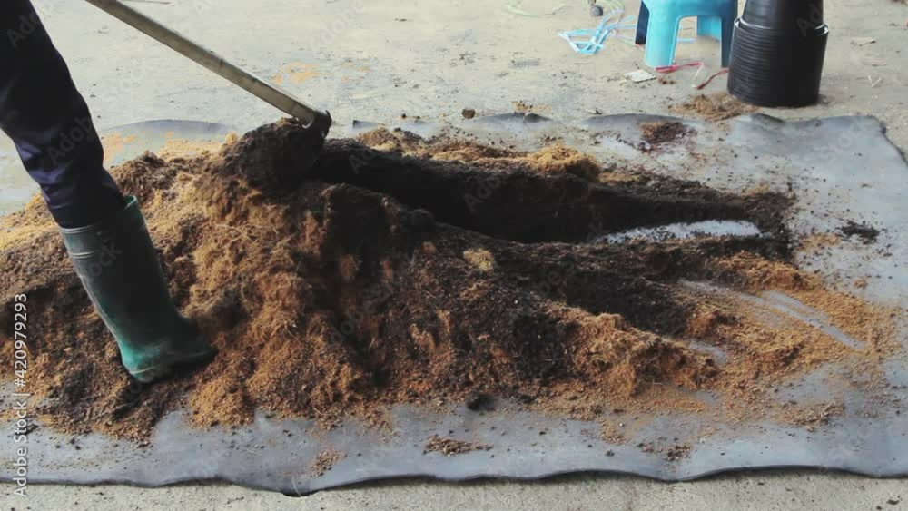Farmers are using a shovel to scoop and mix soil and fertilizers ...