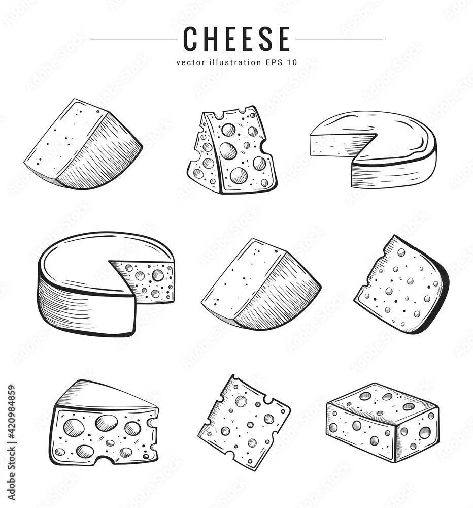 Hand drawn cheese collection. Different types of cheese. Sketch style ...