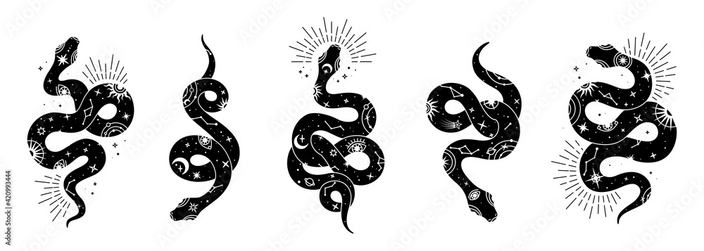 Vector snake set of mystical magic objects- moon, eyes, constellations ...