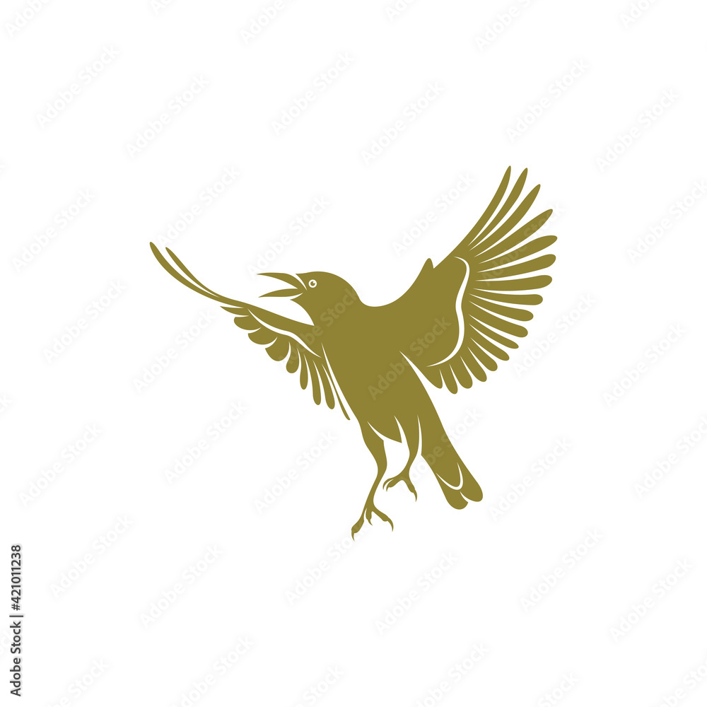 Starling bird design vector illustration, Creative Starling bird logo ...