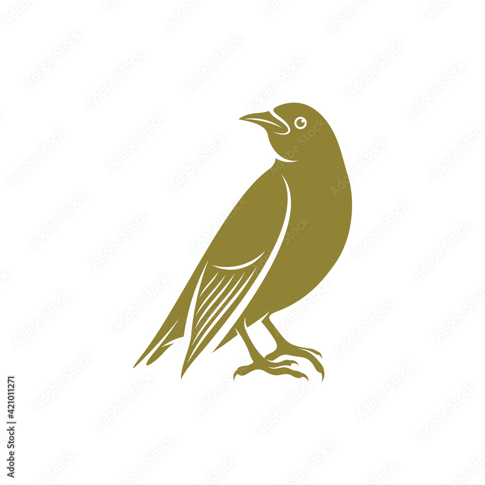 Starling bird design vector illustration, Creative Starling bird logo ...
