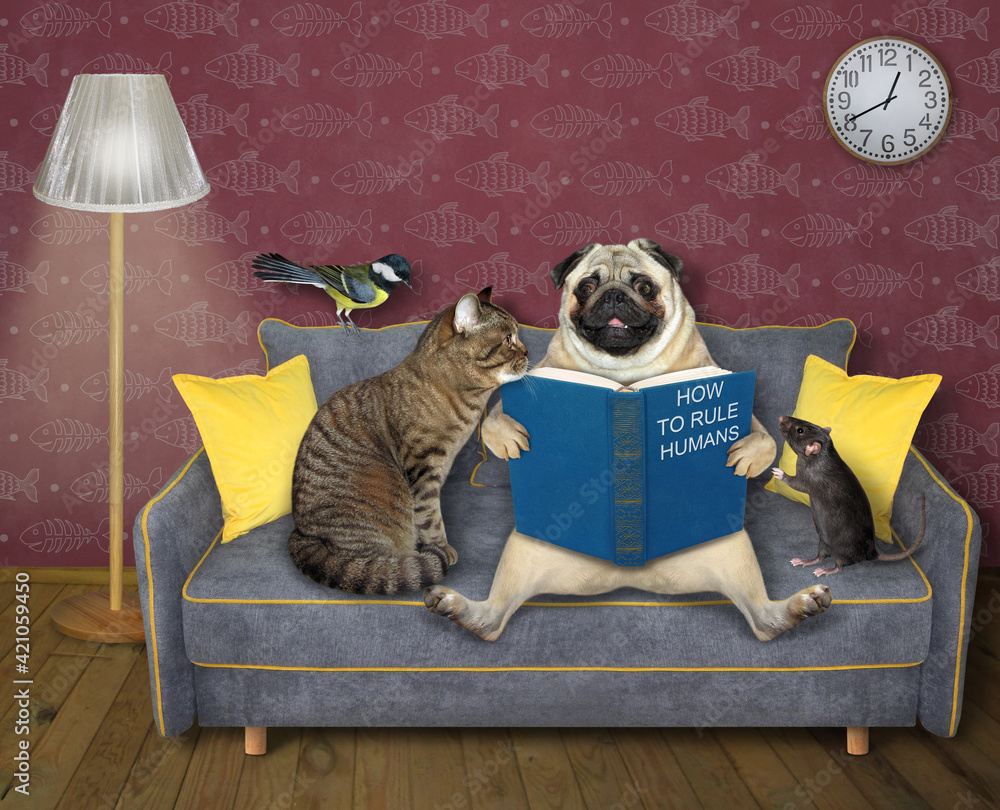 Dogs And Cats Reading Books