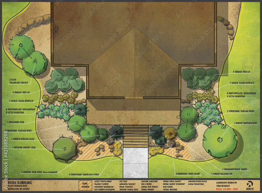 Landscape Design, design, color, plants, trees , plan view Stock ...