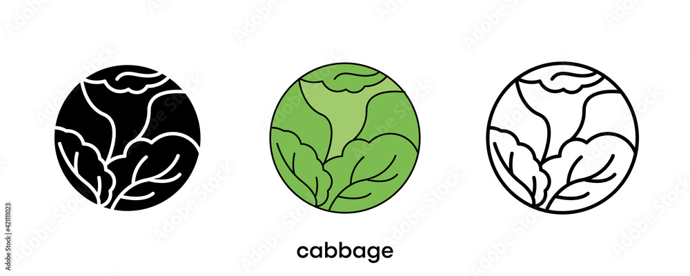 Cabbage icon design. Set of silhouette, colorful and linear cabbage ...