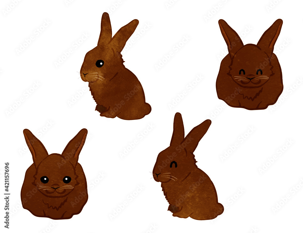 Brown Mini Rex Rabbits