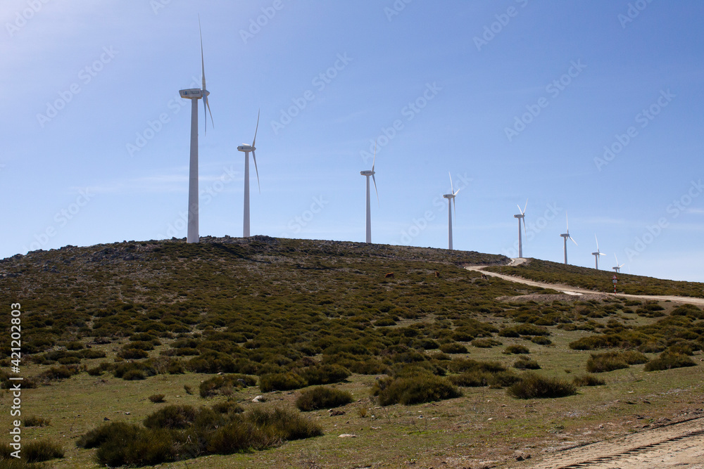 Clean electricity producing wind turbines built on a windy mountain ...