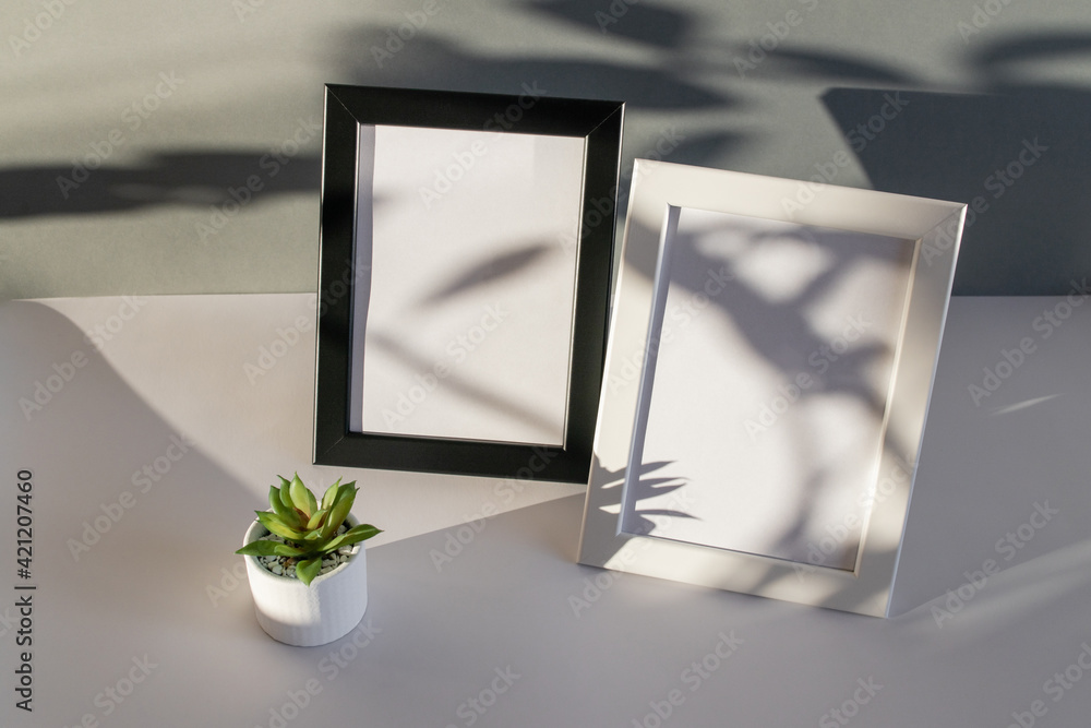 MockUp. Black and white frames with small flower pot on a textured ...