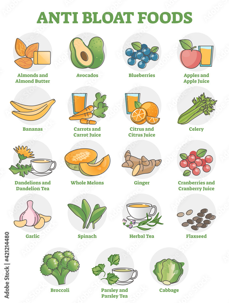Anti bloat foods collection with labeled food products examples outline ...