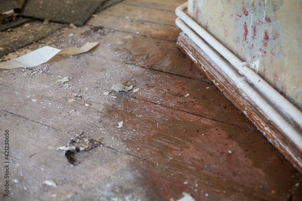 Dirty old building plank floor in front of a bare wall and heating pipe ...