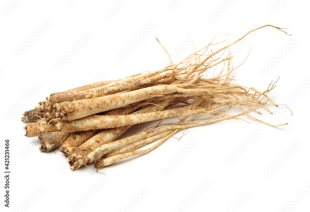Root of Korean Bellflower (Platycodon grandiflorus) commonly known as ...