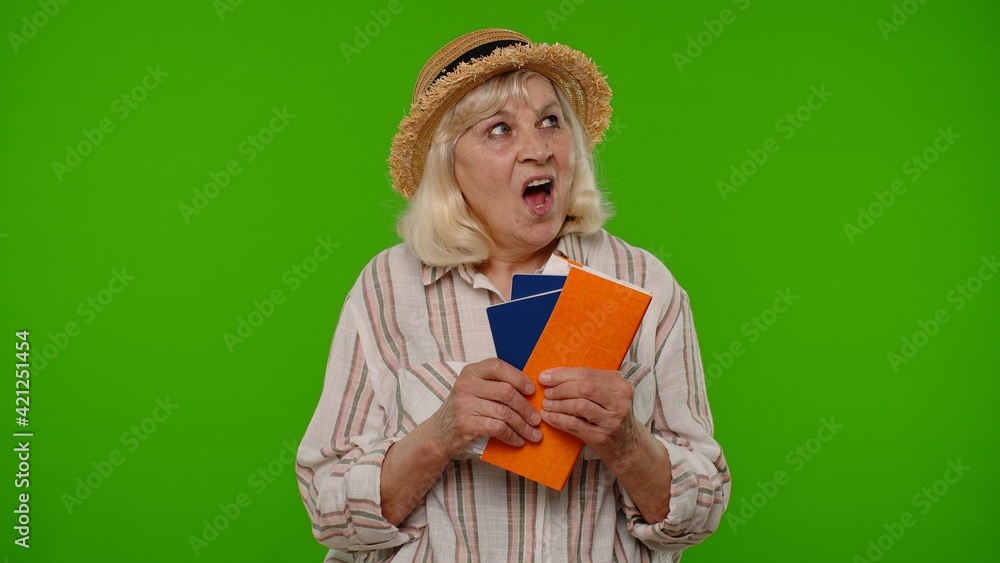 Traveler Tourist Senior Woman Holding Passport Tickets Dreams Of Which Country To Go Rest On