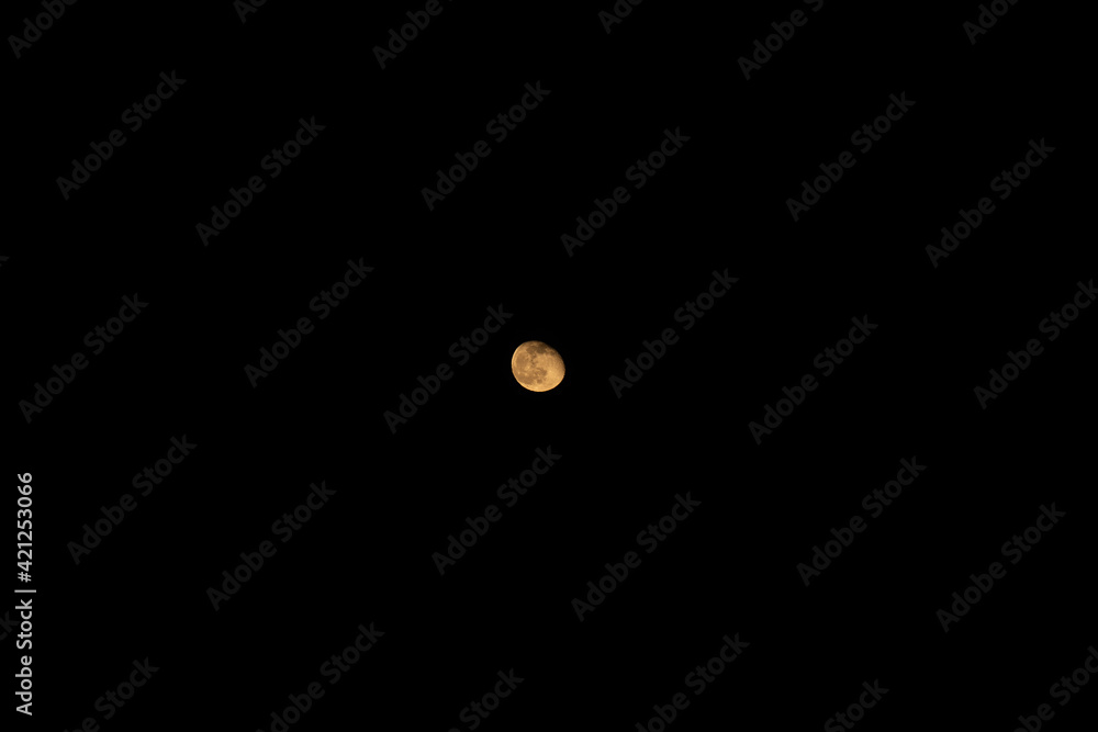 Lonely Moon Night