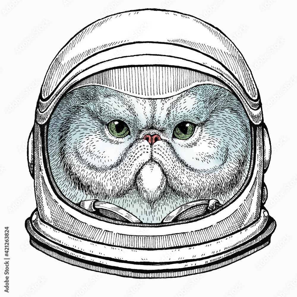 Portrait of persian cat. Vector cat head, face. Astronaut animal ...