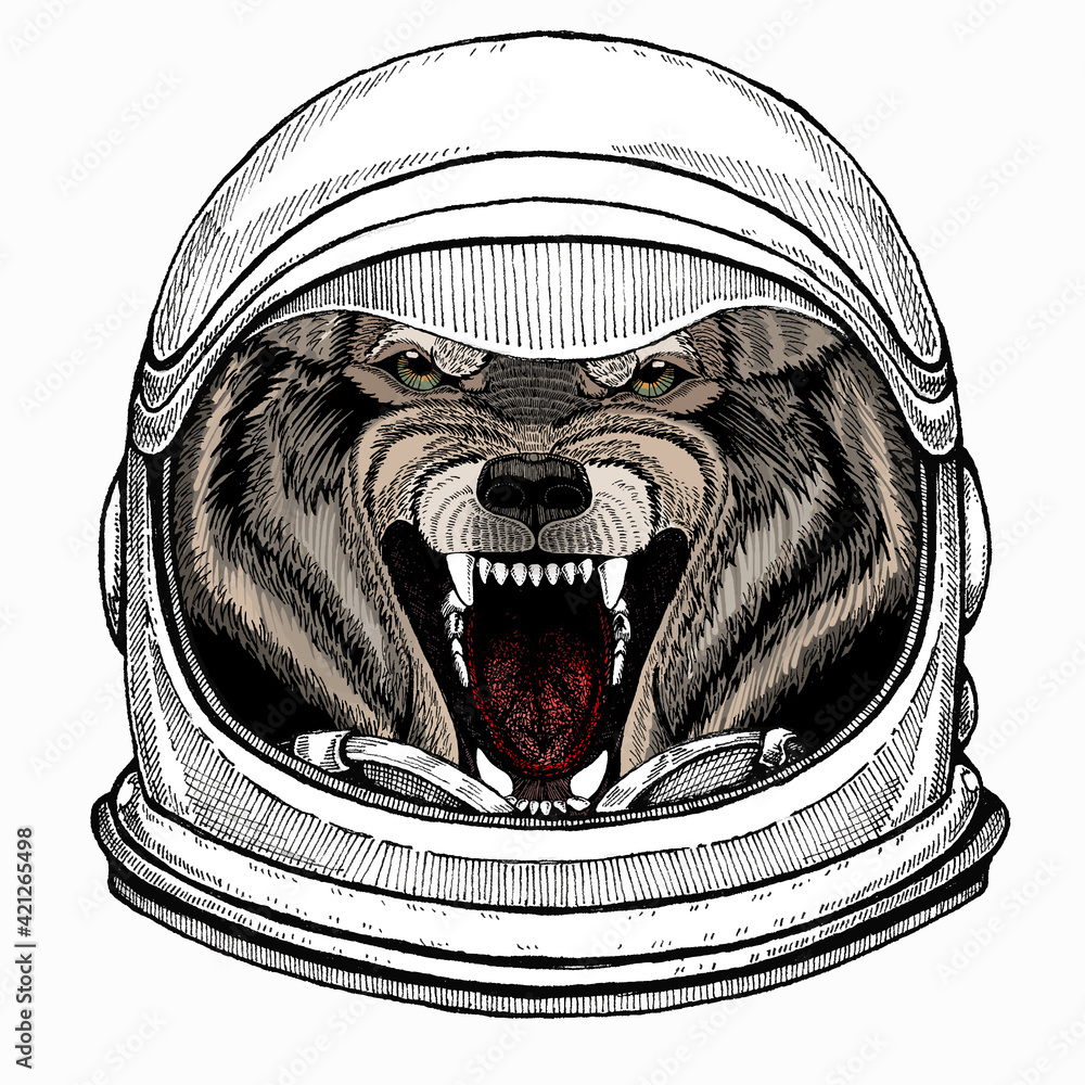 Vector portrait of wolf. Cool wild wolf. Animal head. Astronaut animal ...