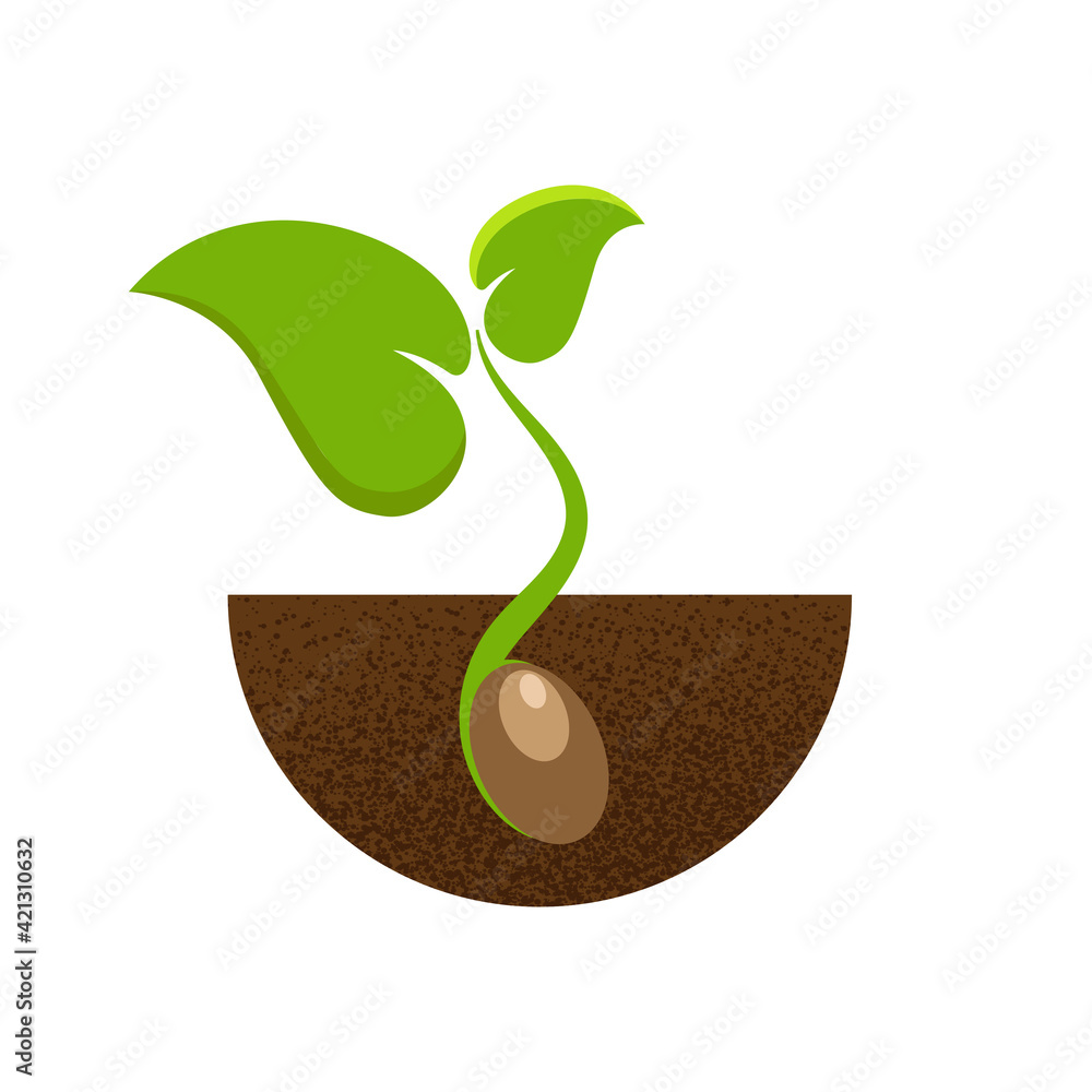 Sprouting seed on white background. Green cartoon sprout in brown soil ...