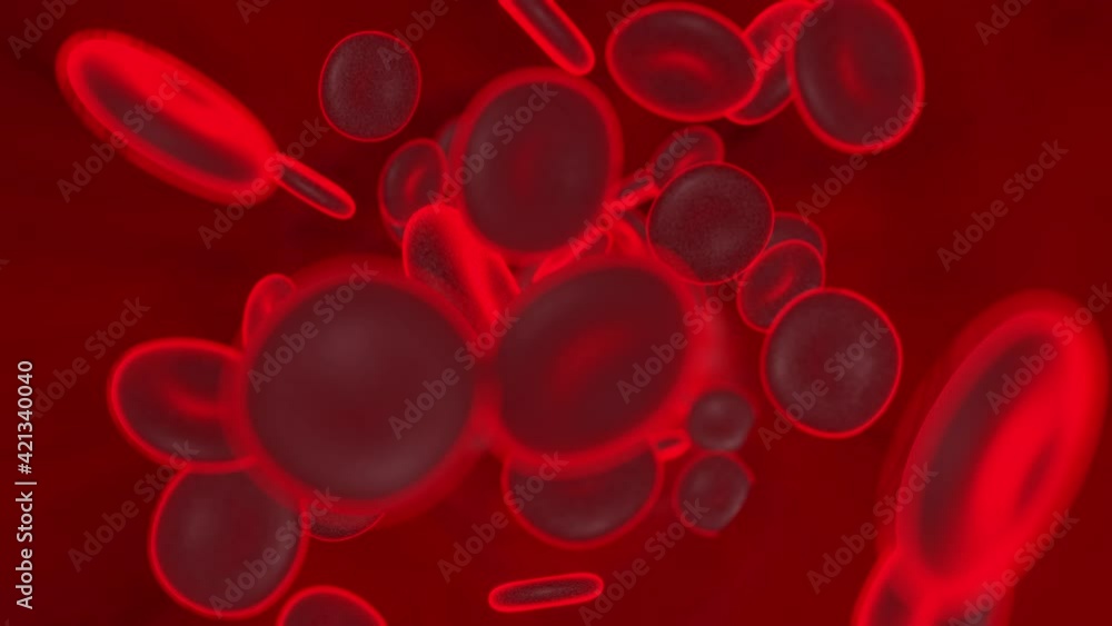 3D Animation of Haemoglobin cells floating in a vessel like an artery ...