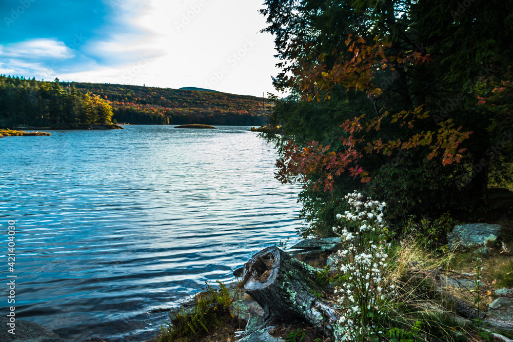 dramatic autumn landscape in North Lake campground in the Catskills ...