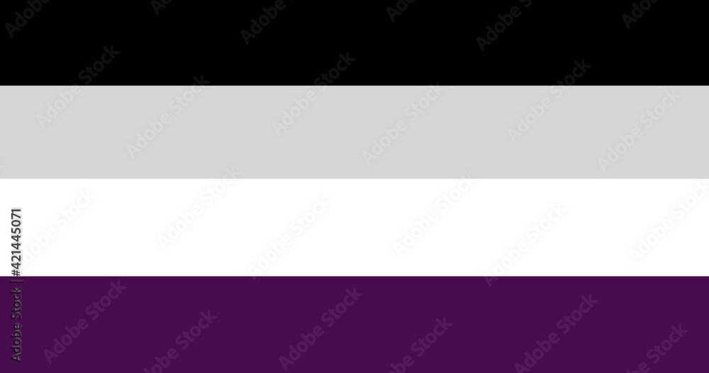 Asexual Flag. Symbol or emblem of asexual people, man and woman. Stock ...