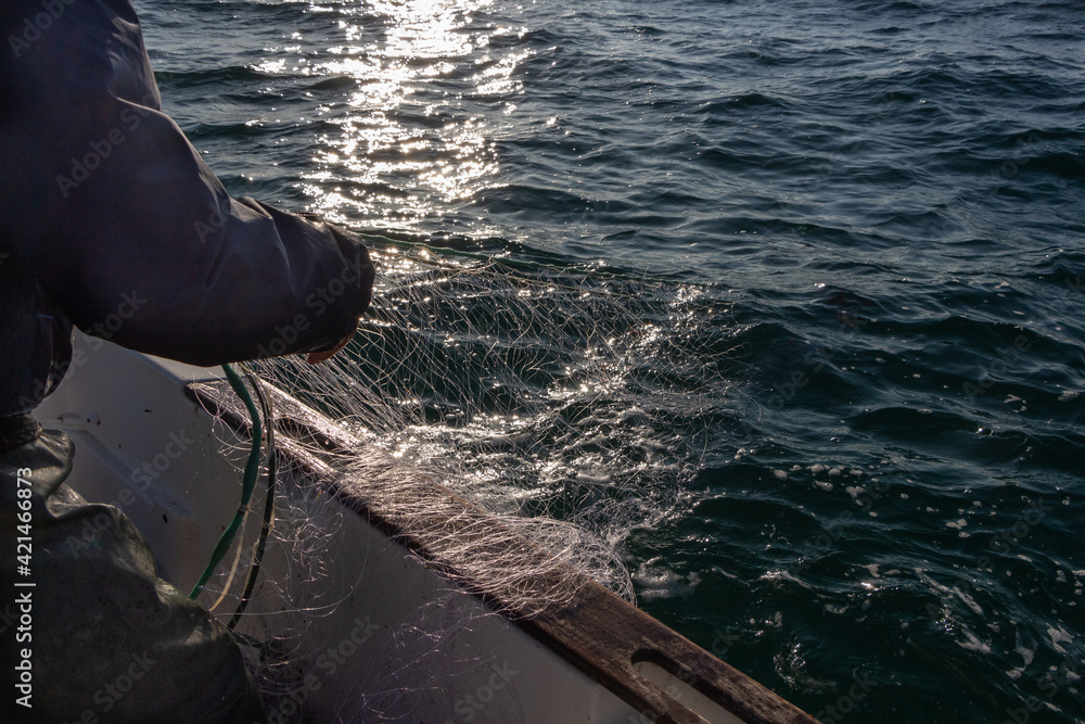 Fisherman bringing back net in a boat in Brittany Stock Photo | Adobe Stock