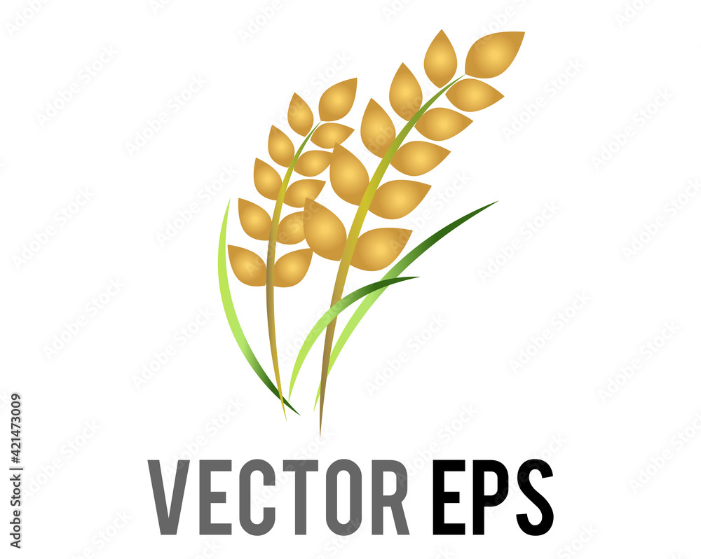 Vector rice plant icon, represent wheat, corn, oats, sorghum, crops ...