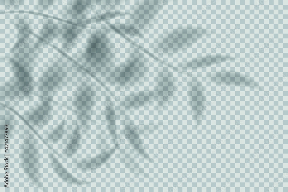 Transparent shadow of leaves isolated on transparent background ...
