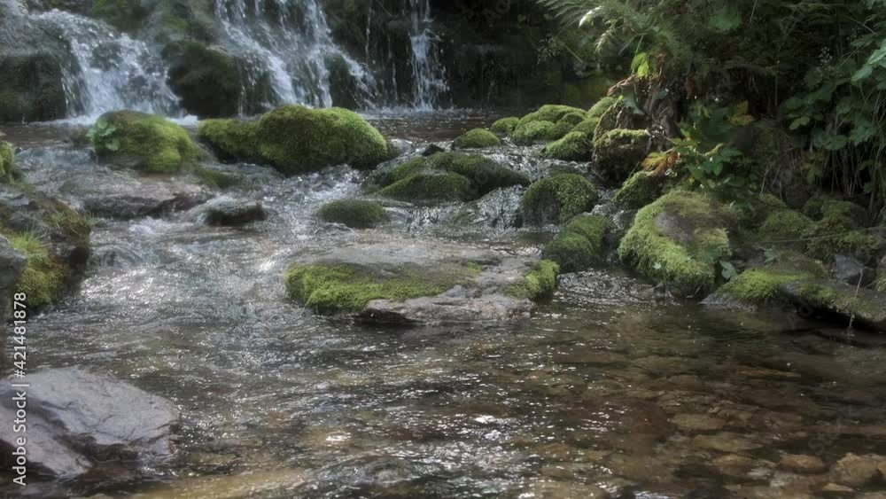 Waterfall with crystal clear water flows in rainforest. Creek flows ...