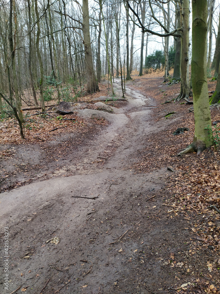 Steep pathway through forest after rain with slippery hiking trail as ...