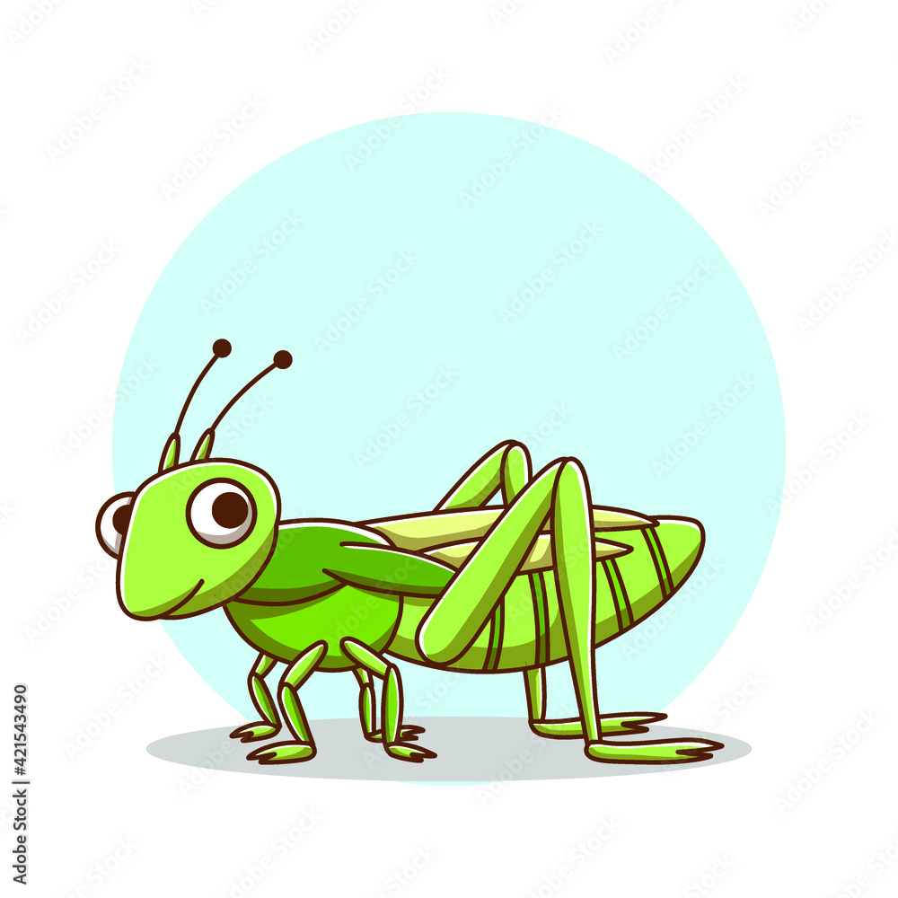 Grasshopper Insect Drawing
