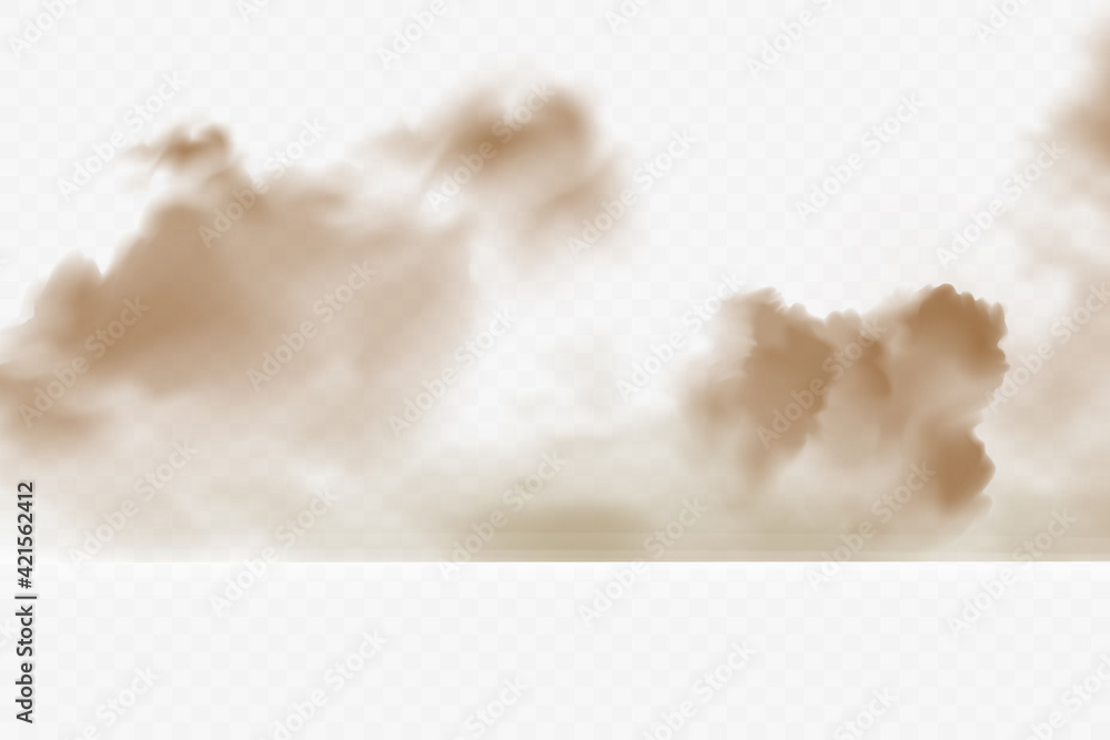 Road dust cloud from driving car or motorbike. Vector realistic splash ...