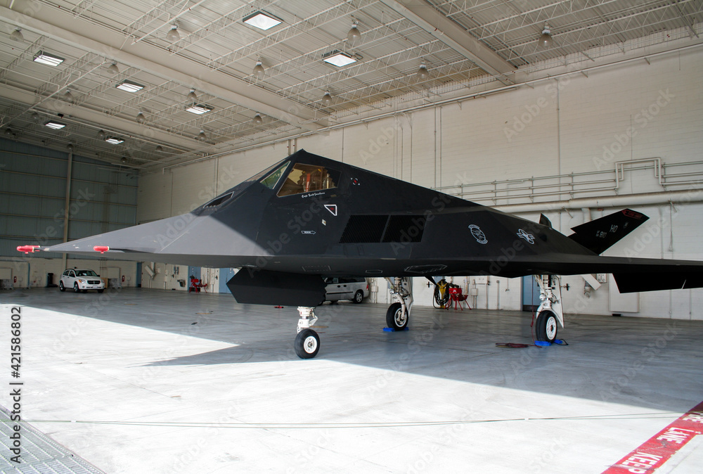 F 117 Stealth Fighter
