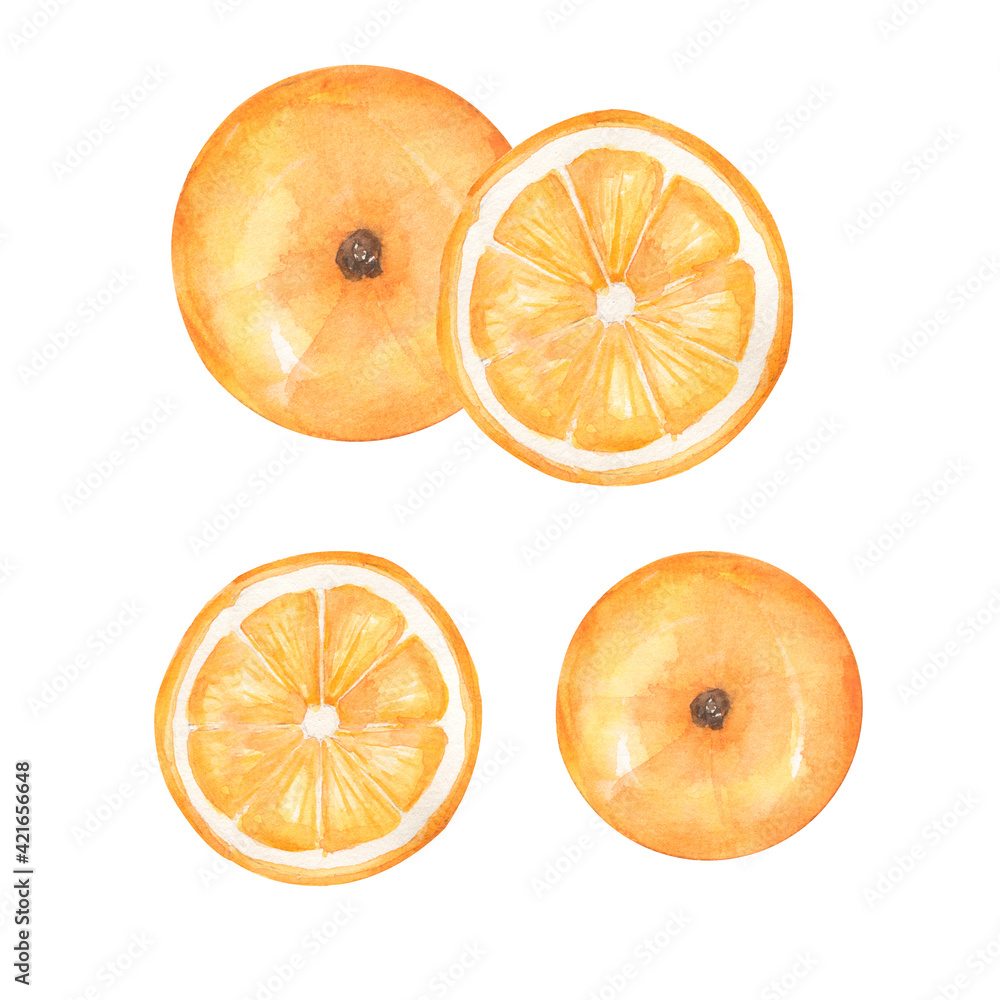 Watercolor orange illustration set, hand drawn tangerine fruit clipart ...