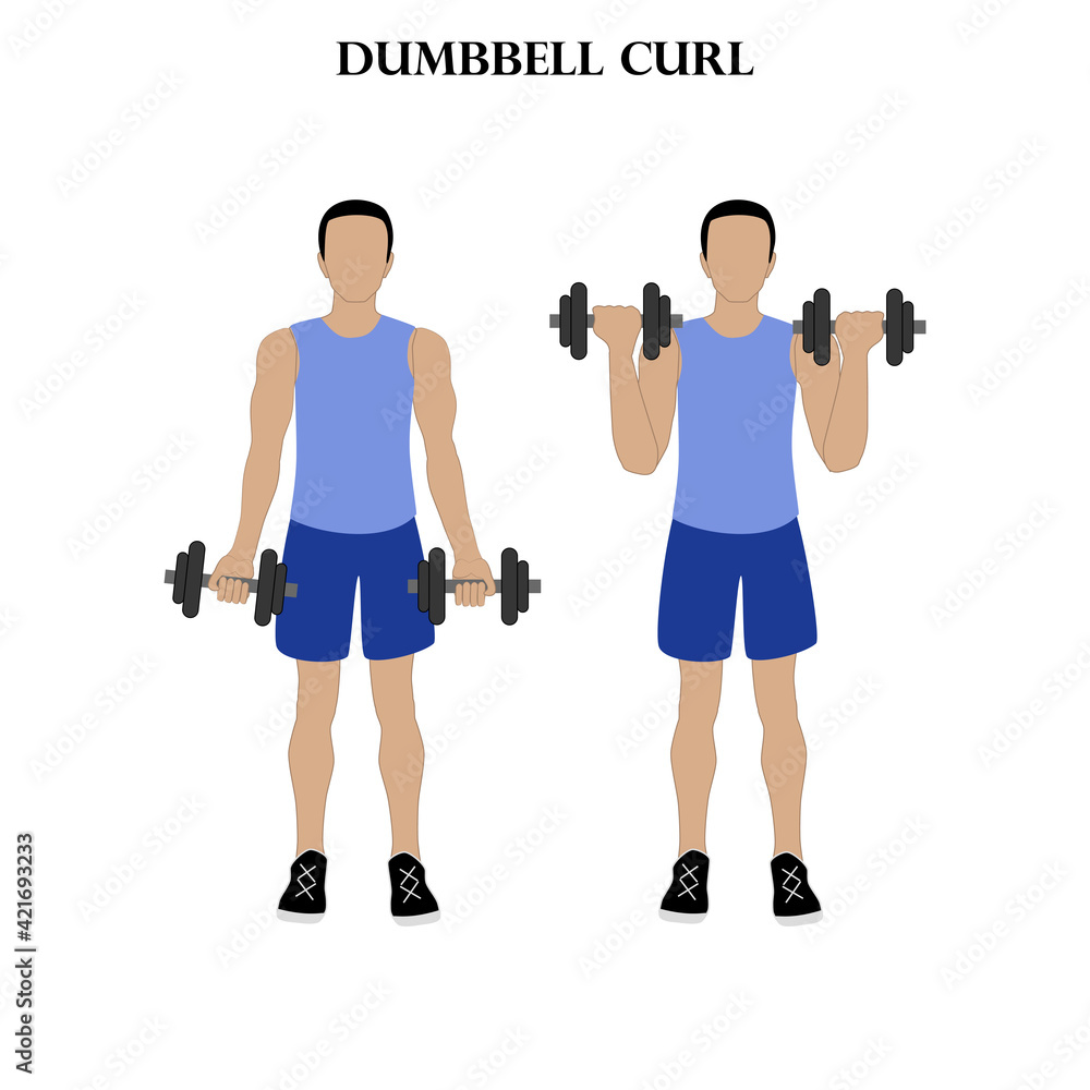 Dumbbell curl workout exercise. Healthy lifestyle vector illustration ...